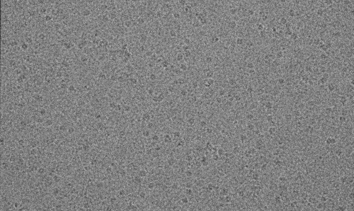 Cryo-EM: small electrons for large molecules