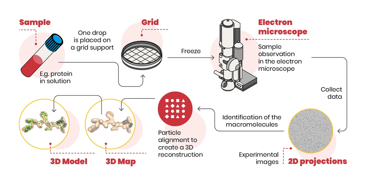 Cryo-EM: small electrons for large molecules