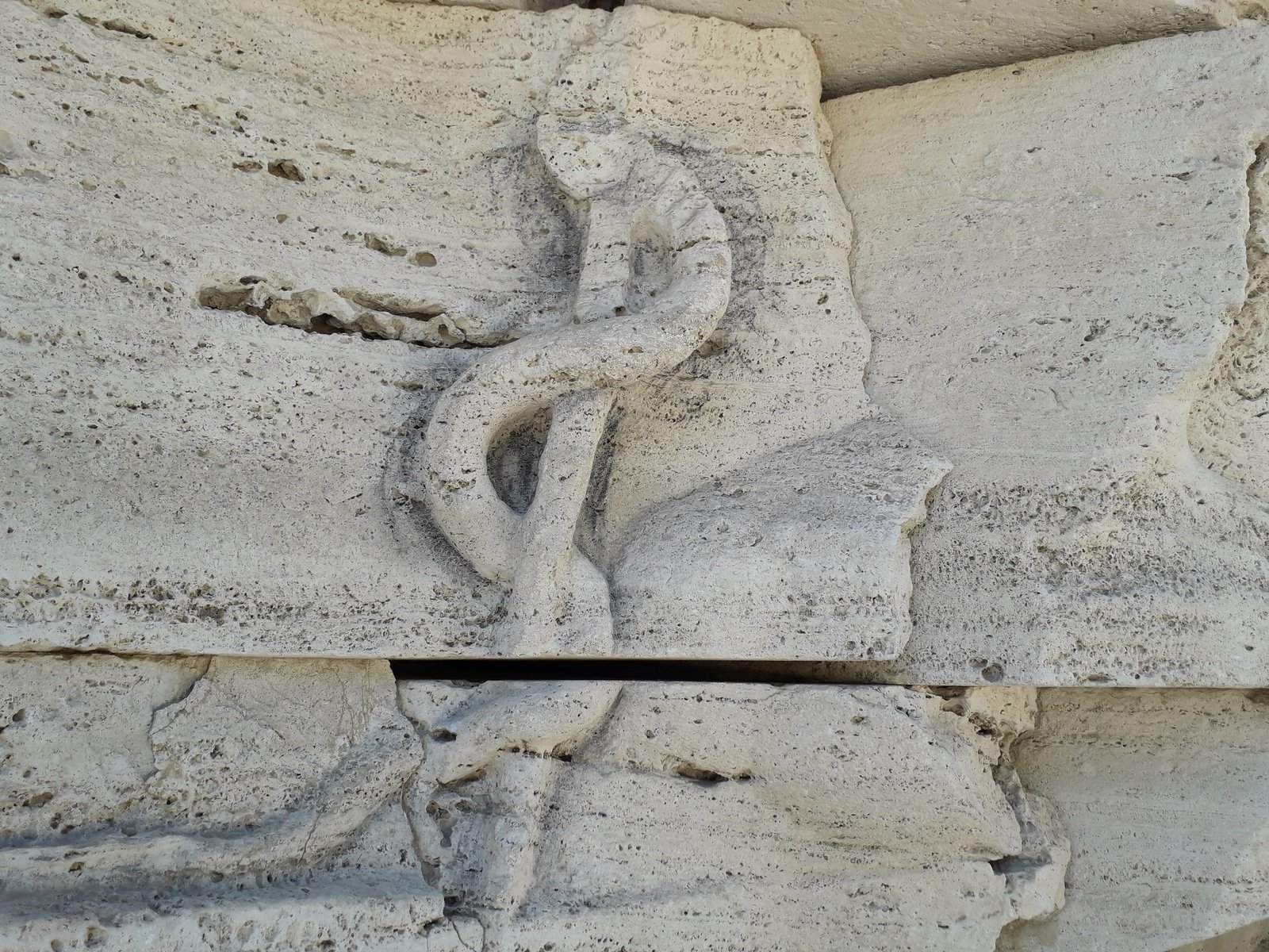 "K Syndrome", the Disease that saved lives